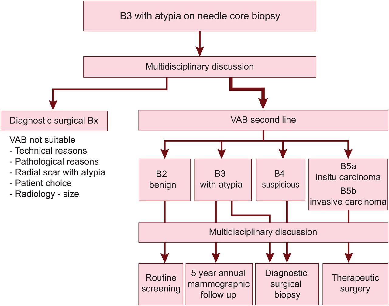 What Is A B3 Breast Lesion